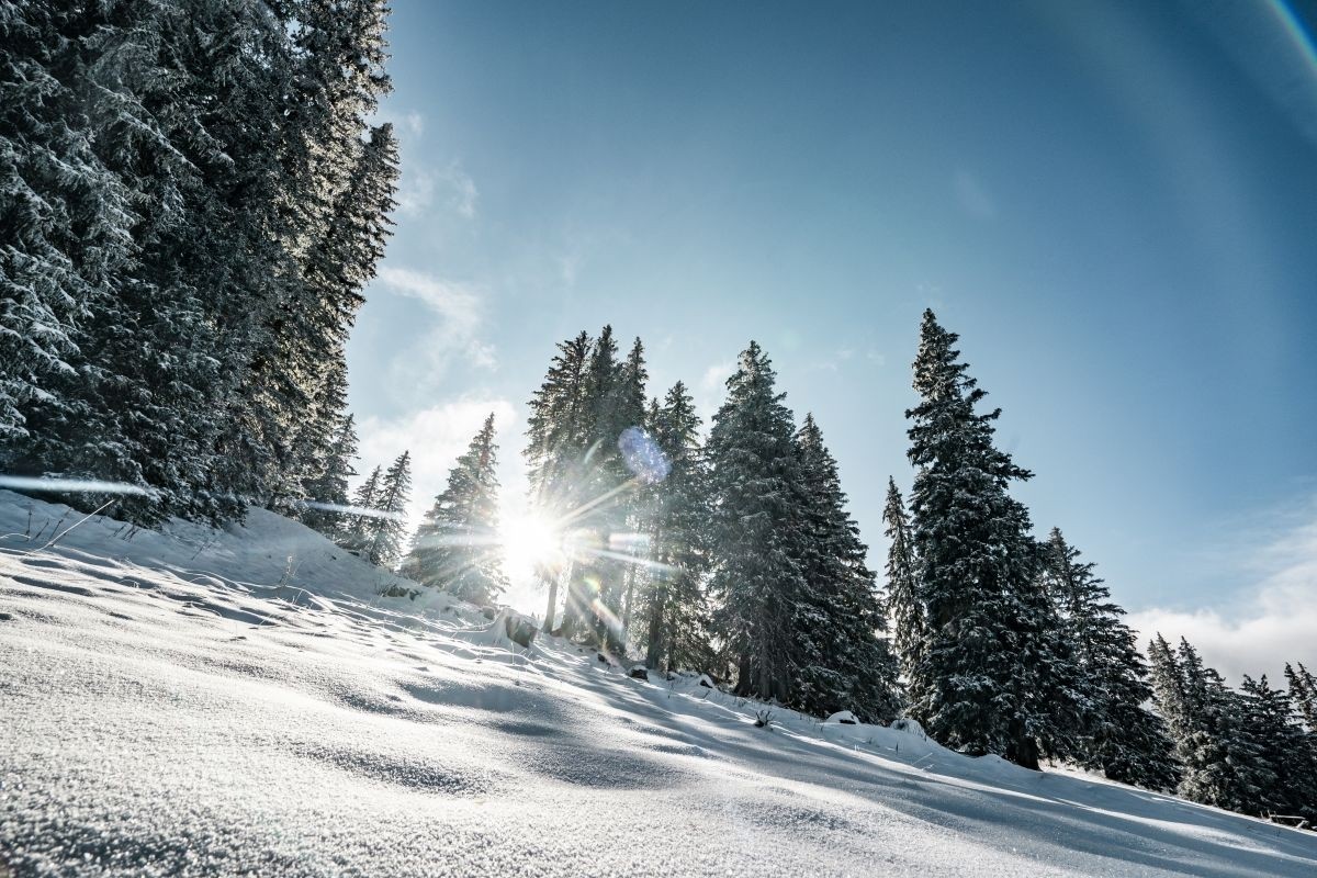 Hôtel Macchi - Promo 6 Nuits 4 Diners 2 Soins à partir de 765€