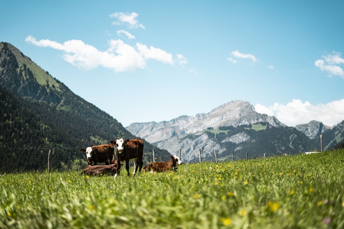 Hôtel Macchi - Forfaits Spa Solo à partir de 276€
